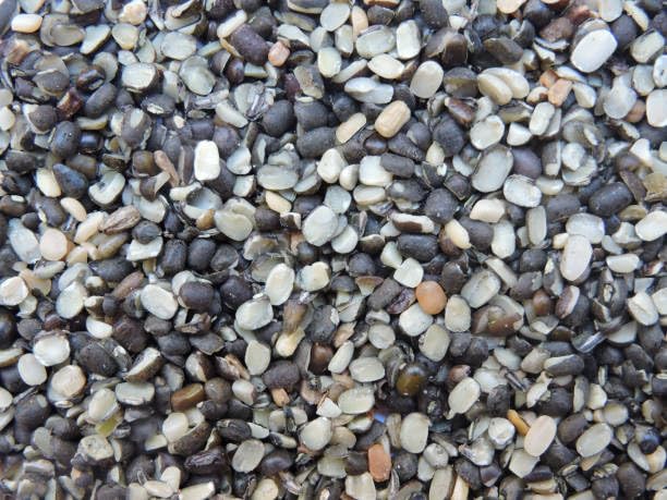 Farm Fresh Premium Black Urad Split Dal 500 GM|Rich in Protein|No ...