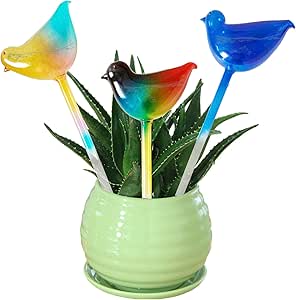 Amazon.com: CRVAJJWT Glass Plant Watering Globes, Flower Watering Globes Self Watering Star ...