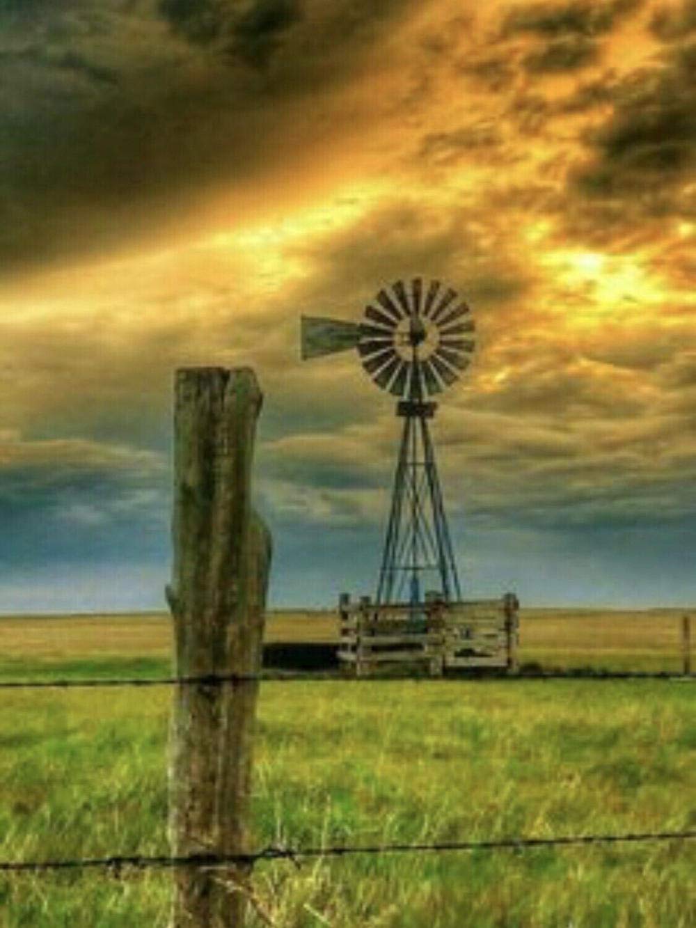 Amazon.com: Farm Windmill Puzzles Jigsaw Puzzle 500 Pieces for Adults ...