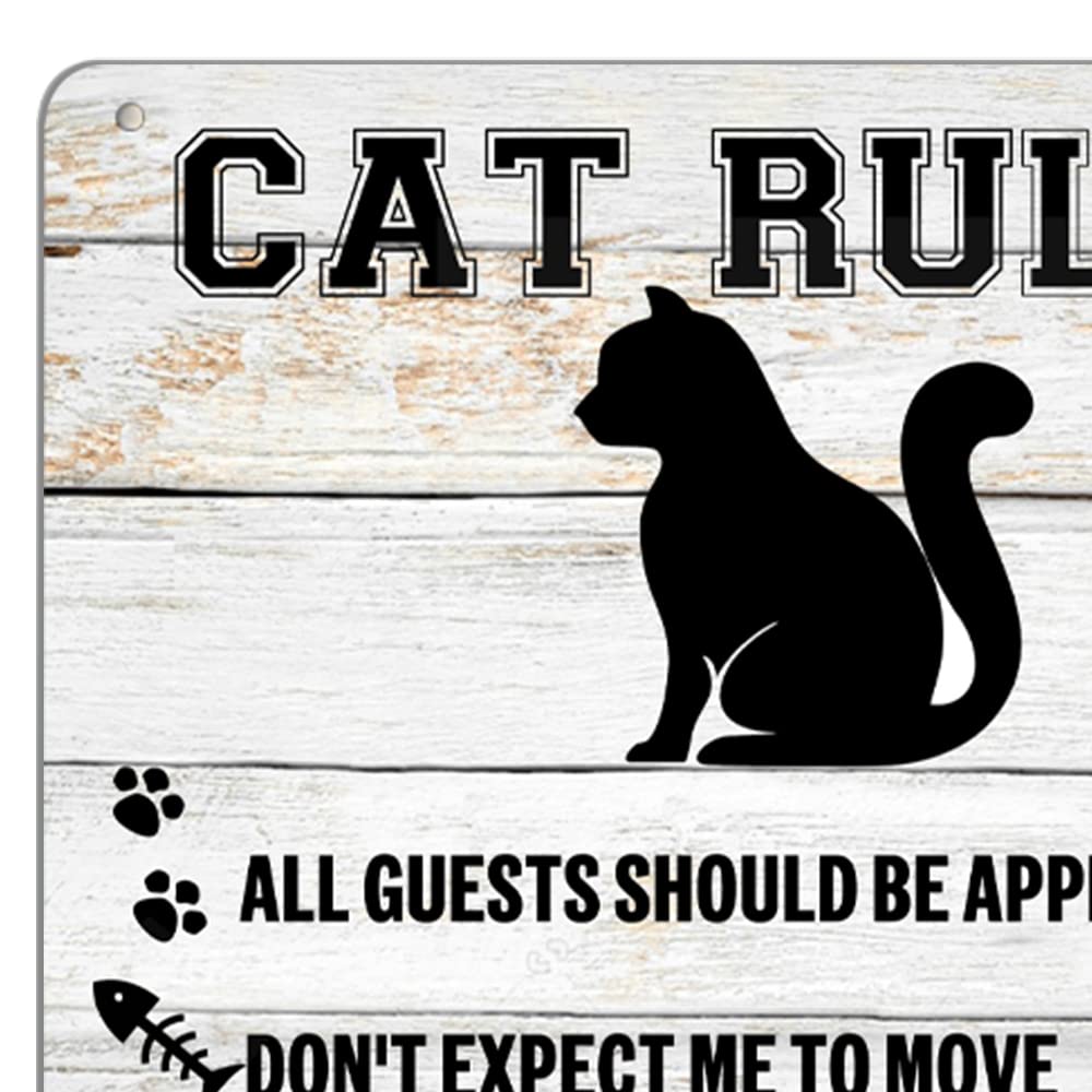 Cat Plaques With Sayings Cat Memorial Gifts Plaque When Tomorrow