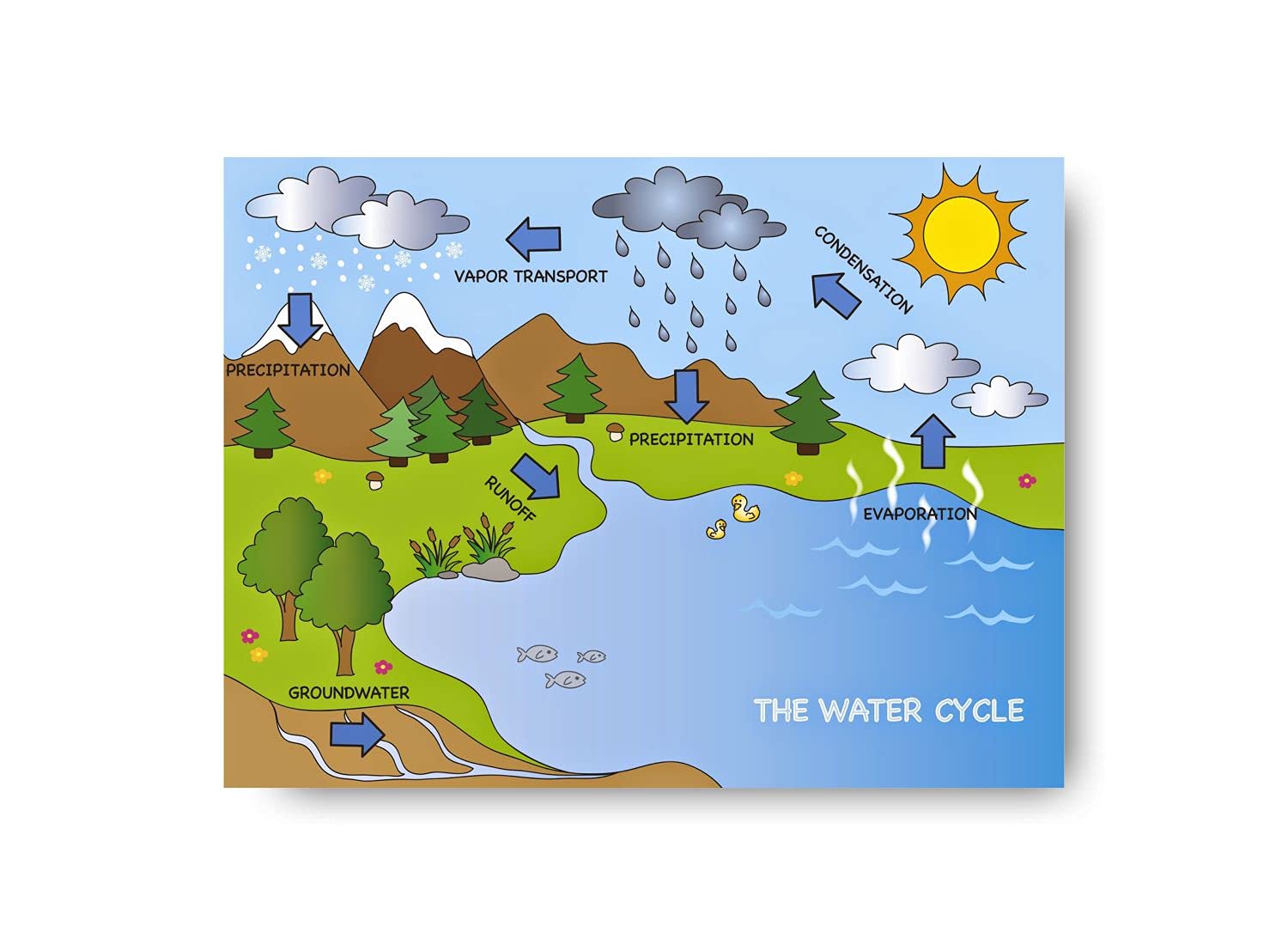 Photojaanic Water Cycle Poster Kids Learning Charts Posters For Kids ...