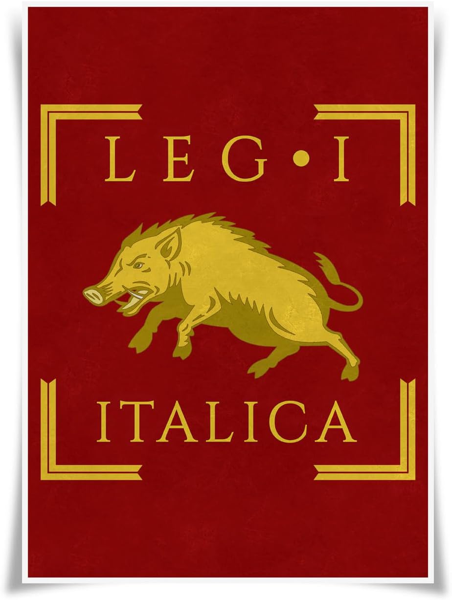 Amazon.com: Nice Captain Roman Legion Flag Poster Fabric Print ...
