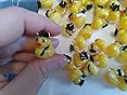 Amazon.com: 60 Pcs Mini Graduation Resin Ducks, Graduation Resin Ducks ...