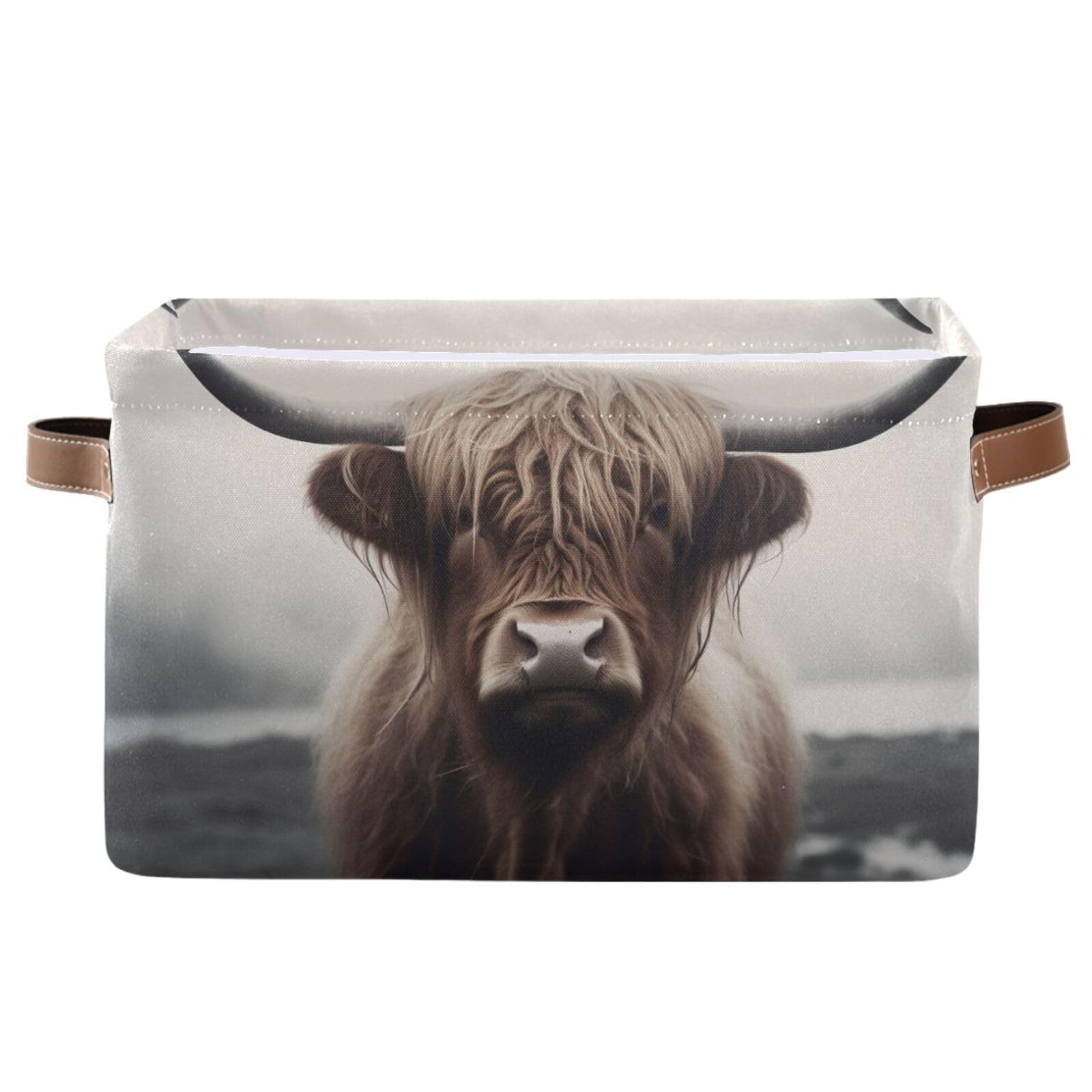 Amazon.com: YEGAME Storage Basket Highland Cow Rectangular Collapsible ...