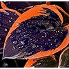 Amazon.com : Floranza Hosta Seeds – Stunning Black Leaves with Orange ...