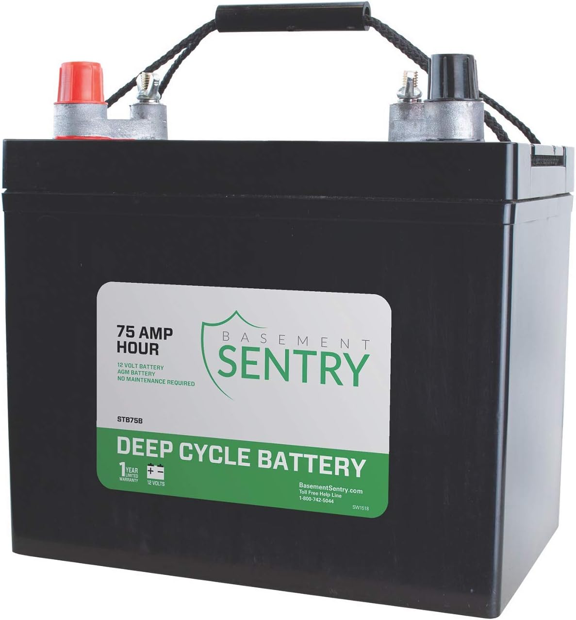 Amazon.com: Basement Sentry 75 AMP Hour Deep Cycle Battery (Charges 5X ...