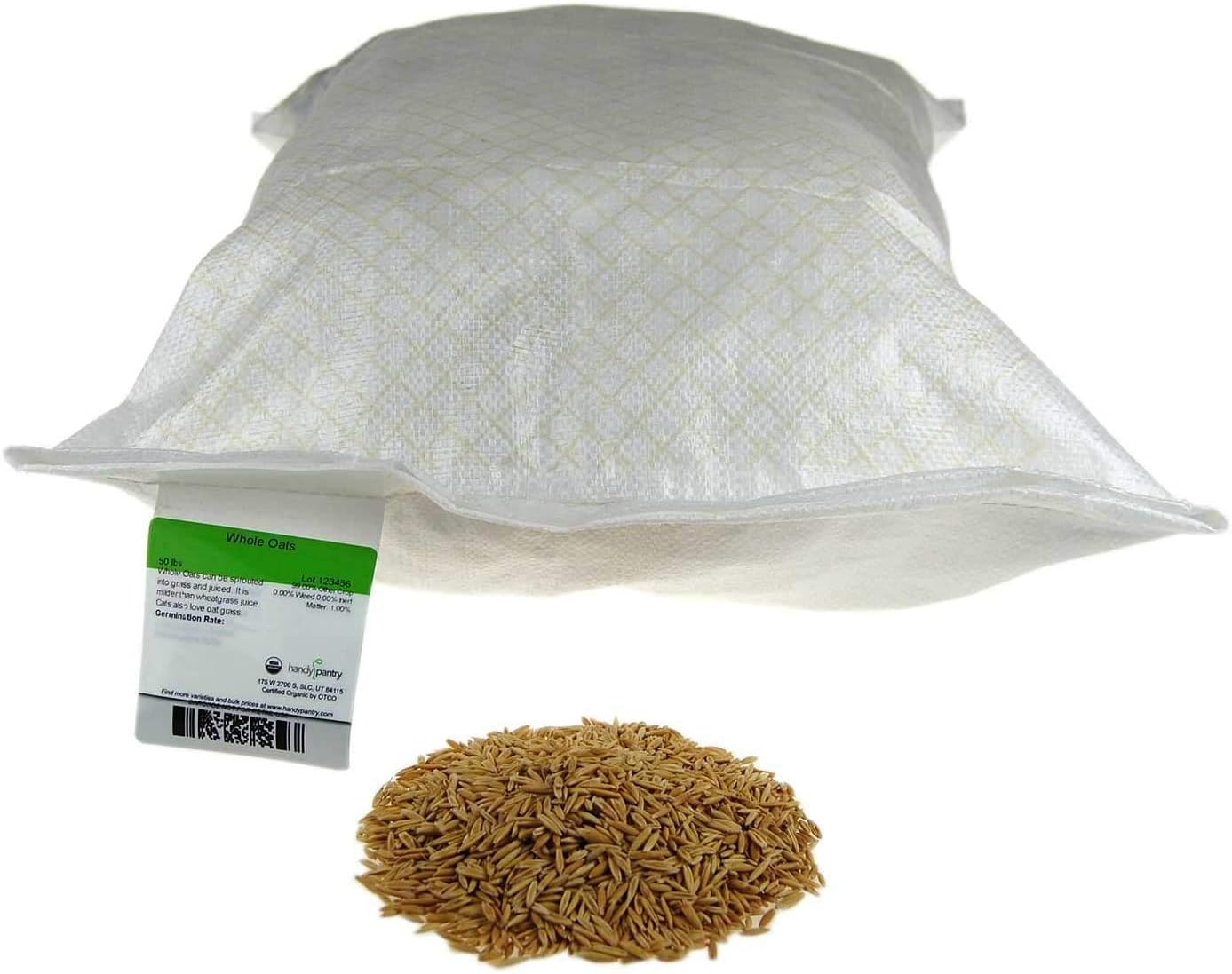 Amazon.com : Royal Lee Organics Organic Gluten Free Grain Oat Groats 10 ...