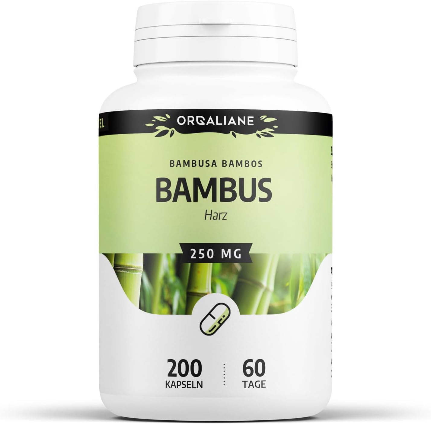 Bambus Tabashir 200 Kapseln - 250mg : Amazon.de: Drogerie & Körperpflege