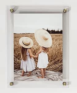 Amazon.com - 14x16 Acrylic Double Panel Floating Frame (Gold Hardware ...