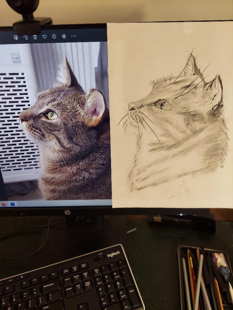 Amazon.com: Frisk Scale Divider, one Size, Nylon/a