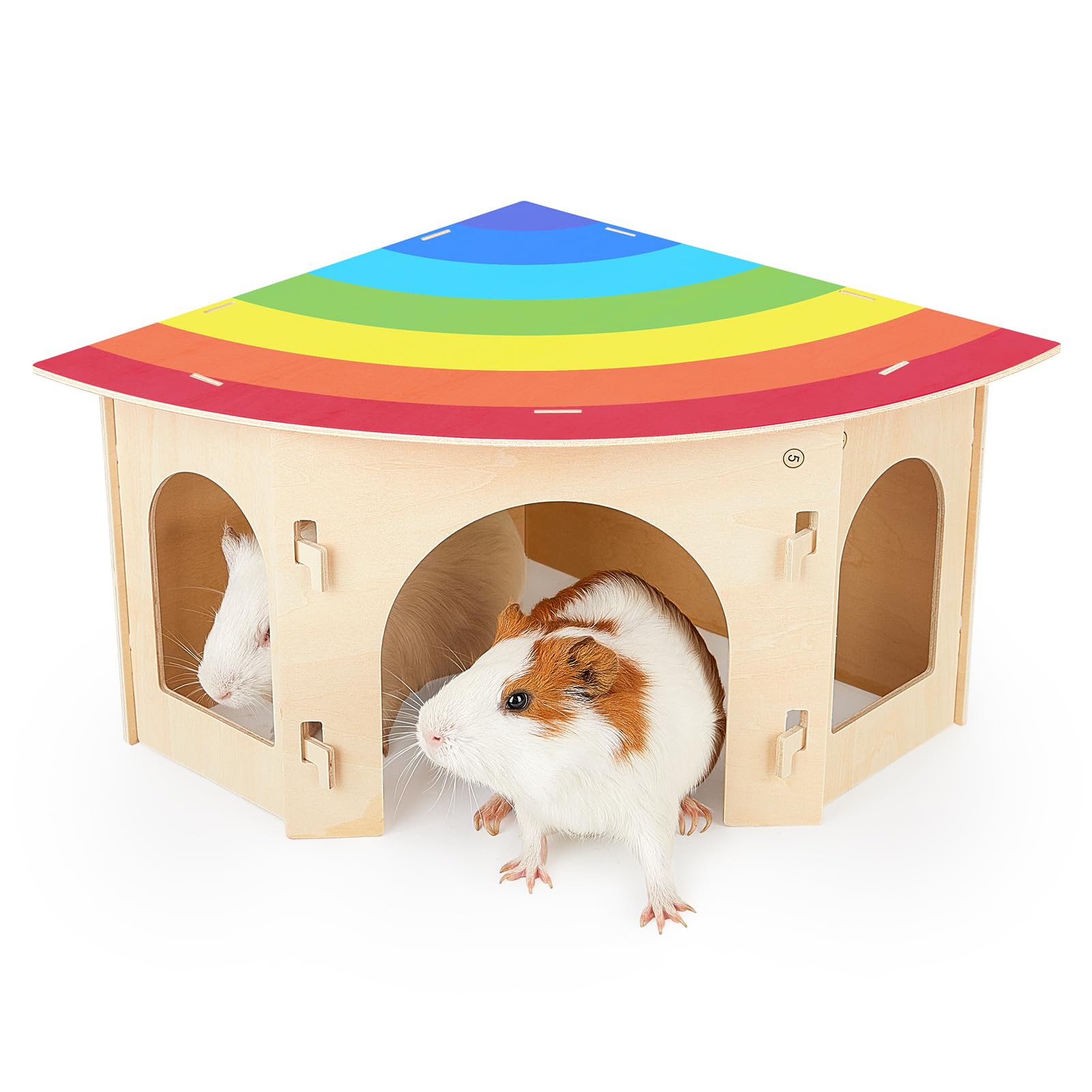 Amazon.com : Glittme Guinea Pig Hideout Fan-Shaped Hamster Hideout ...