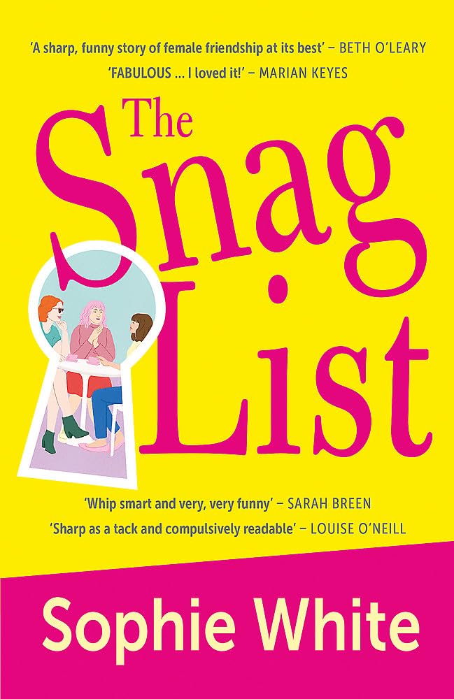 The Snag List: A smart and laugh-out-loud funny novel about female ...