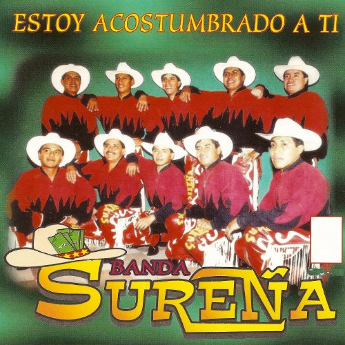 Amazon.com: Estoy Acostumbrado a Ti : Banda Surena: Digital Music