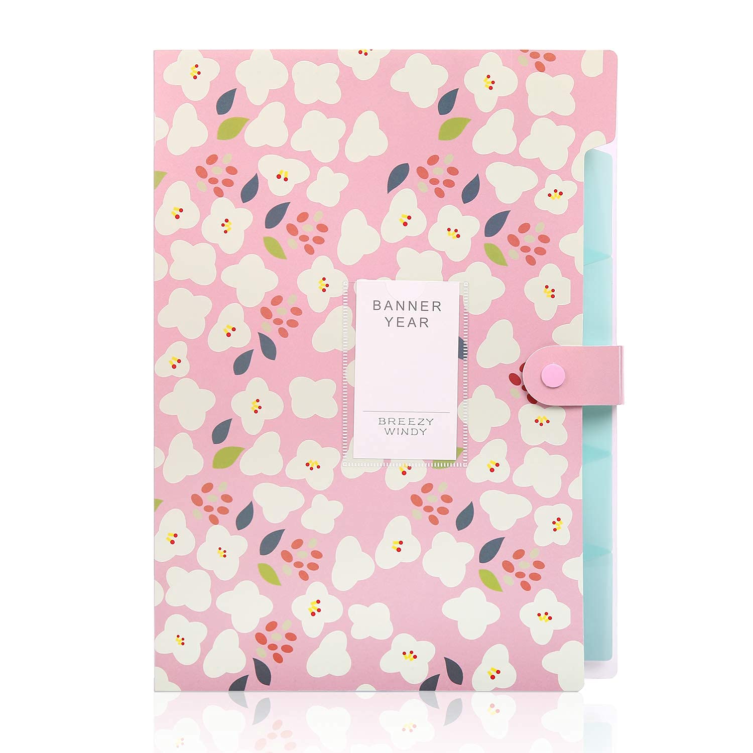 Accordion Folder For Girls