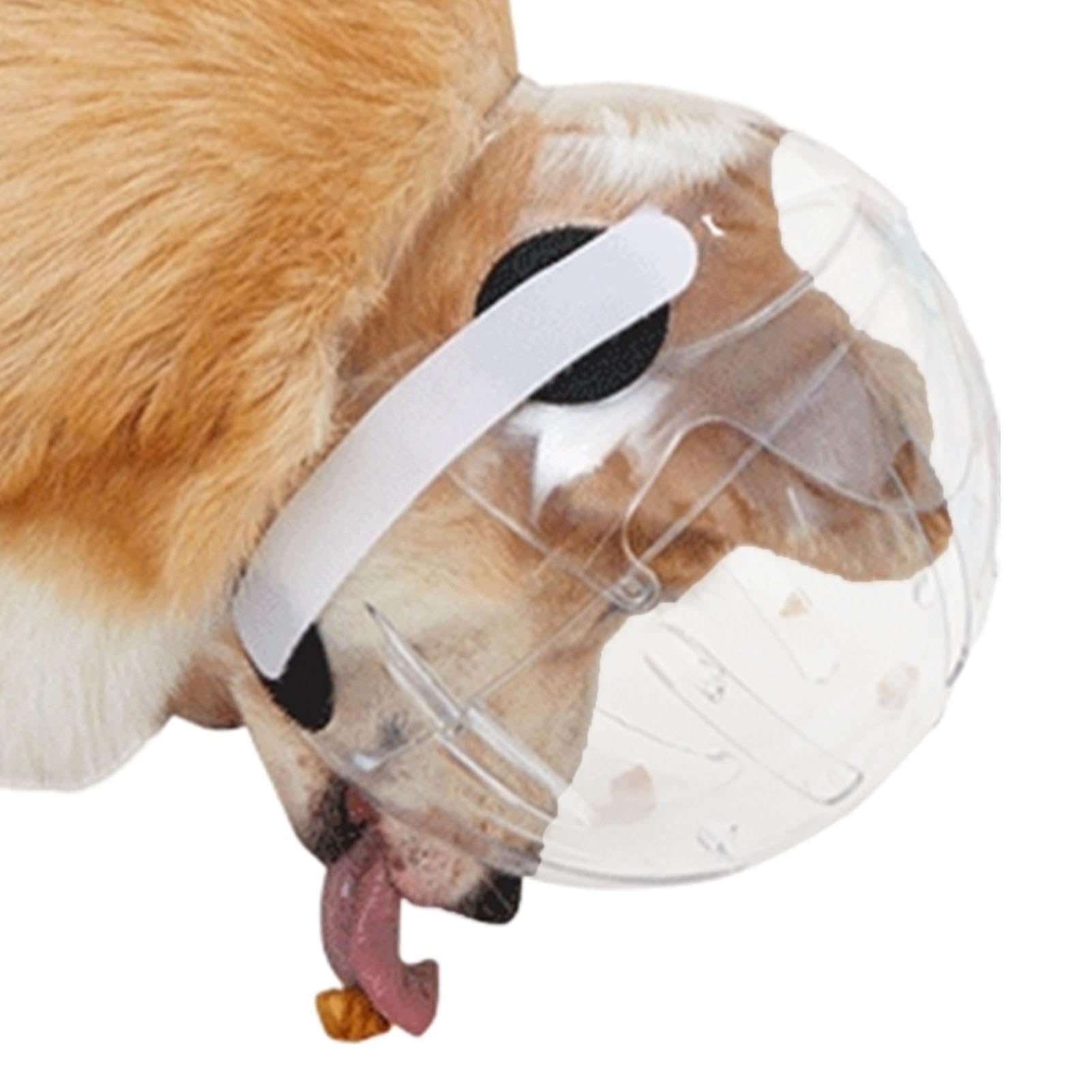 Sleep Apnea Mask For Dogs