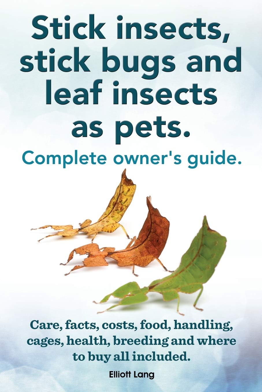 Amazon | Stick insects, stick bugs and leaf insects as pets.: Stick ...