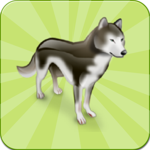 Forest Animals Match up Game - App on Amazon Appstore