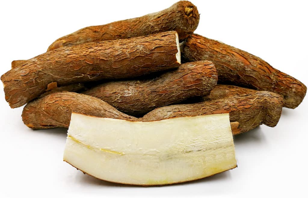 Creative Farmer Tapioca [3Stem] (Cassava)(Manihot Esculenta) Tapioca ...