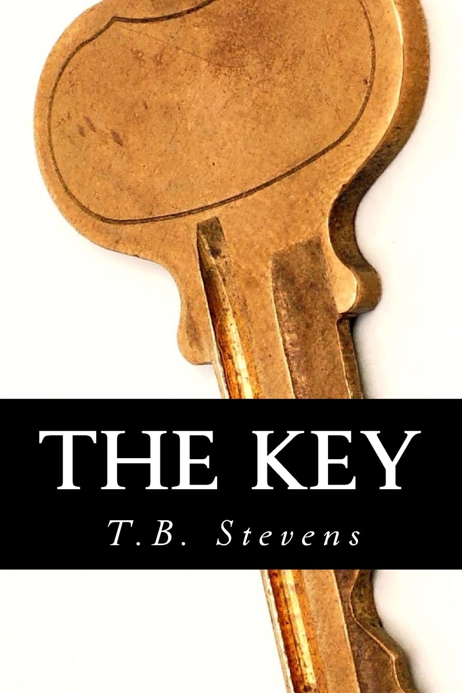 Amazon.com: The Key: 9781494214470: Stevens, T B: Books