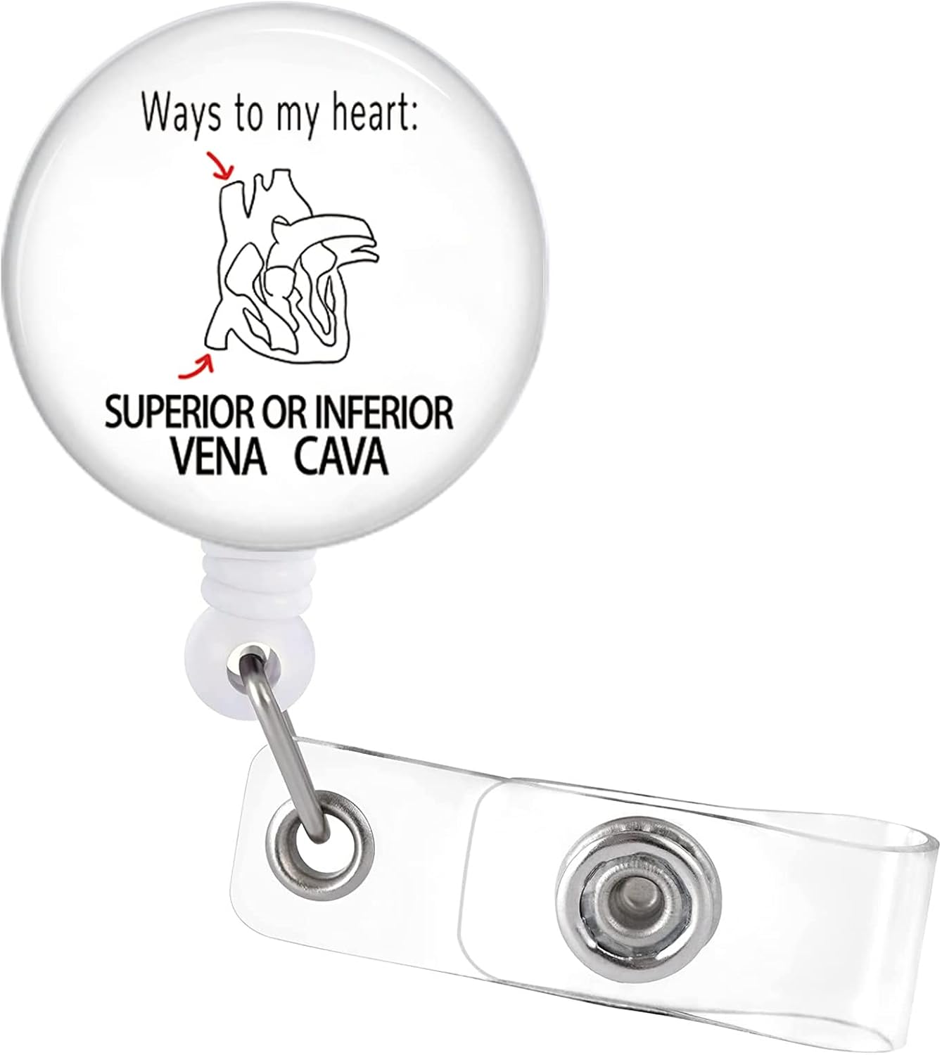Amazon.com : Anatomy Cardiology Badge Reel Retractable with Alligator ...