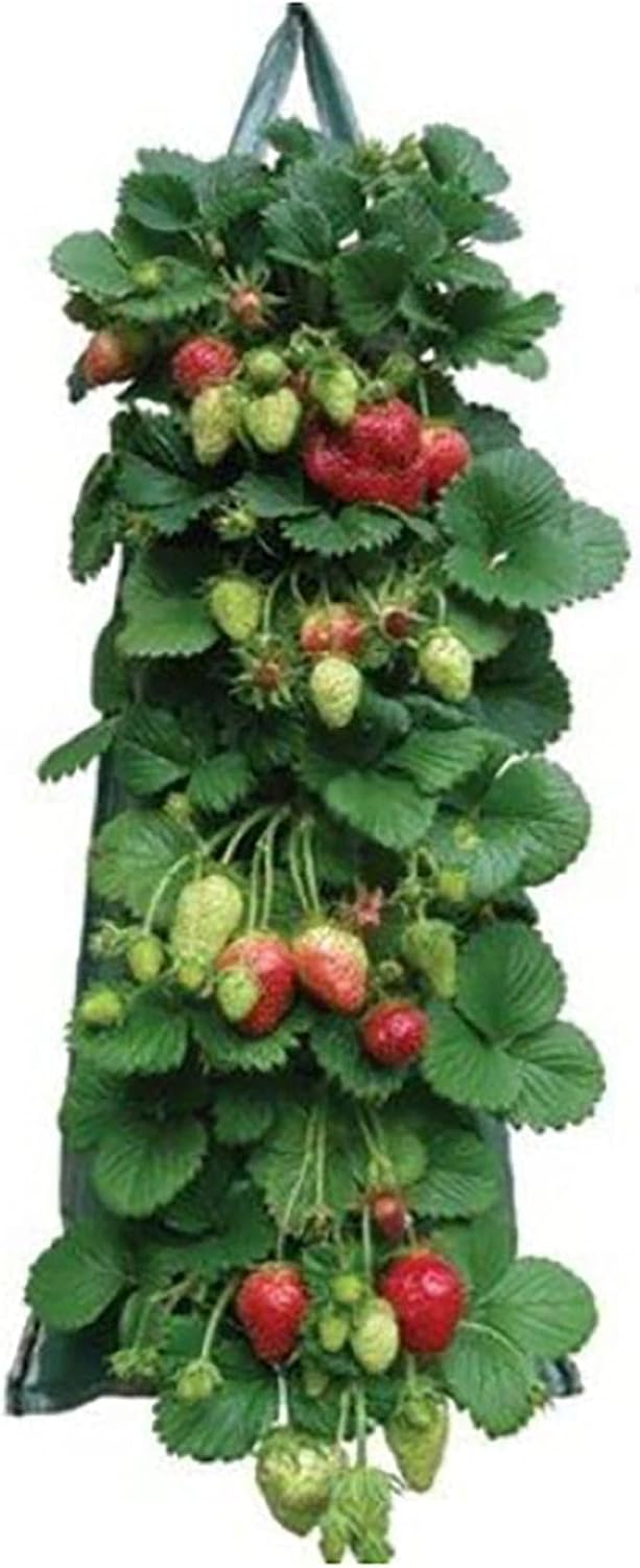 Hanging Flower Pouch,Hanging Planter Bags,8 Hole,Hanging Grow Bags ...
