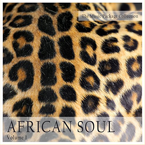 Amazon.com: The Music Package Collection: African Soul, Vol. 1 : Varous ...