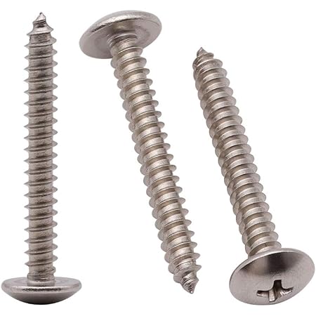 #8 Phillips Modified Truss Head Stainless Steel Lath Screws #8 x 1-1/4" Qty 100: Amazon.com ...