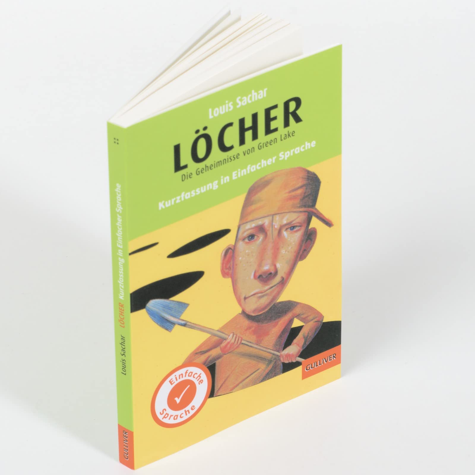 Louis Sachar Bio Age Net Worth Wiki Facts And Family Louis Sachar