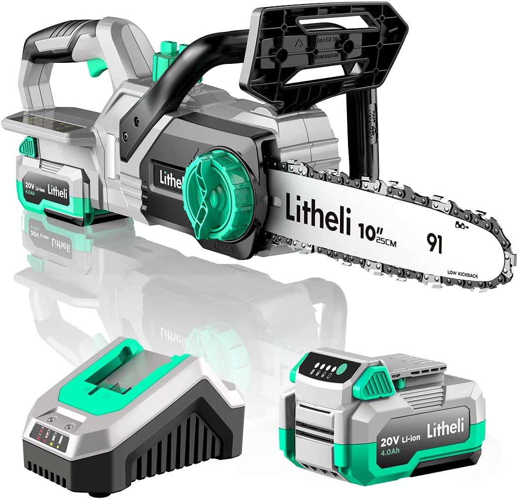 Amazon.com : CRAFTSMAN V20 Mini Chainsaw, 10 inch, Battery and Charger ...