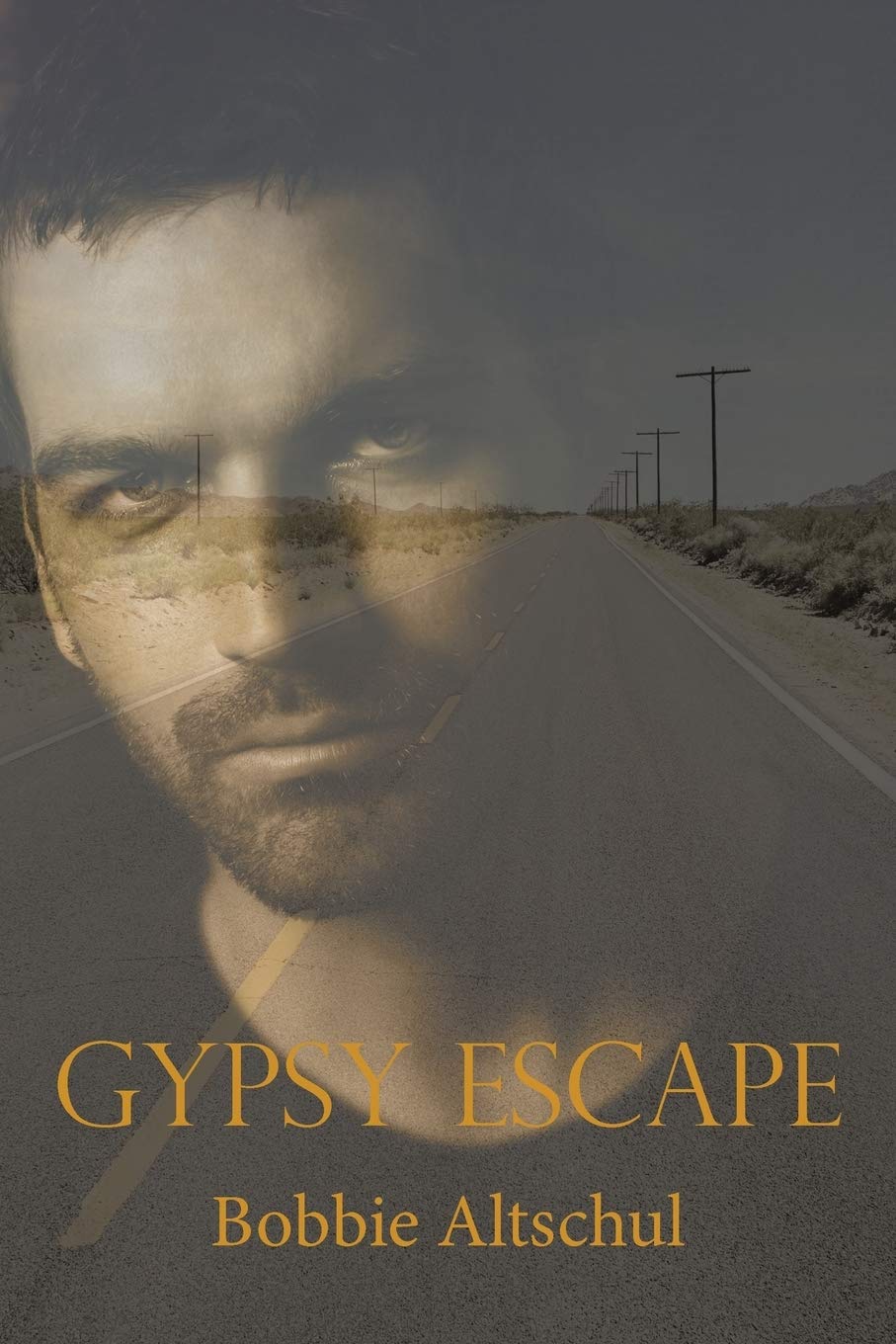 Amazon.com: Gypsy Escape: 9781438988023: Altschul, Bobbie: Books