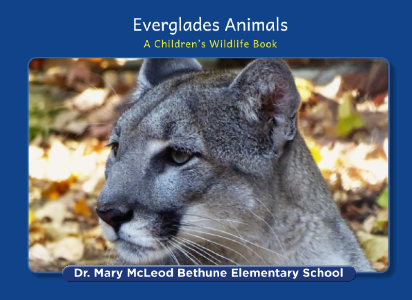 Everglades Animals: A Children's Wildlife Book.: Elementary School, Dr ...