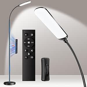 xinp Floor Lamp, Bright 18W LED Standing Lamps for Living Room, Remote ...