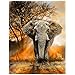 Amazon.com: HommomH 60"x80" Orange African Elephant Blanket Soft Fluffy ...