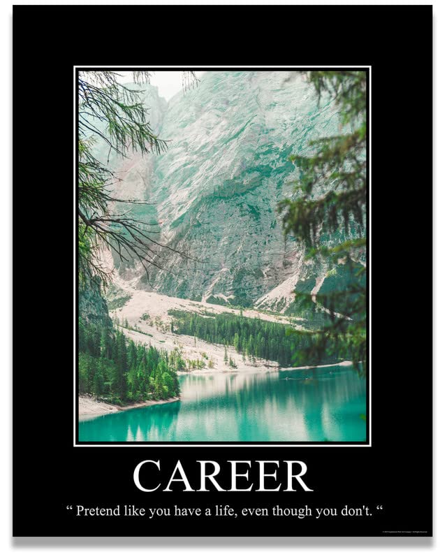 Amazon.com: Inspirational Wall Art Co. - Career | Demotivational Poster ...
