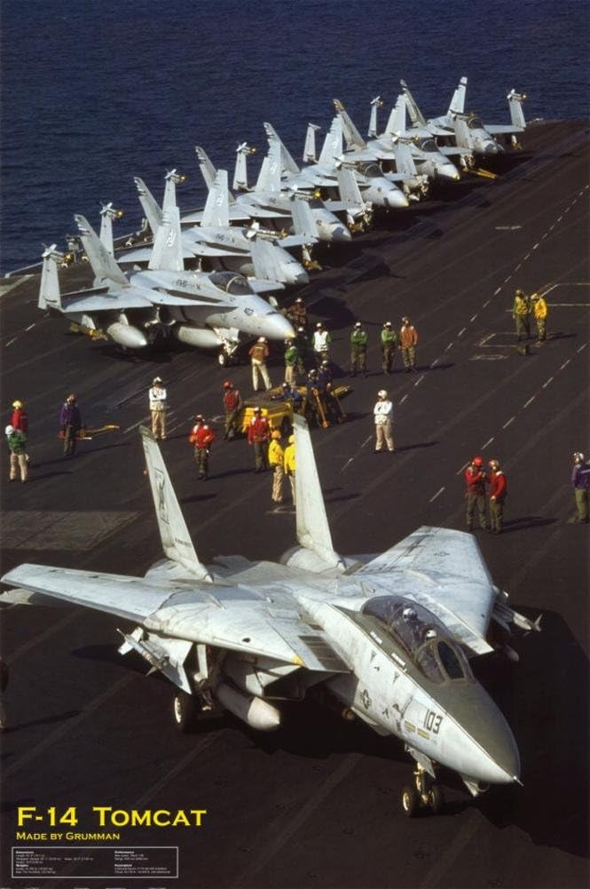 Amazon.com: F-14 Tomcat Poster 24 x 36in: Prints: Posters & Prints