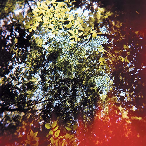 Play Butterfly Horse Street by Hisato Higuchi on Amazon Music