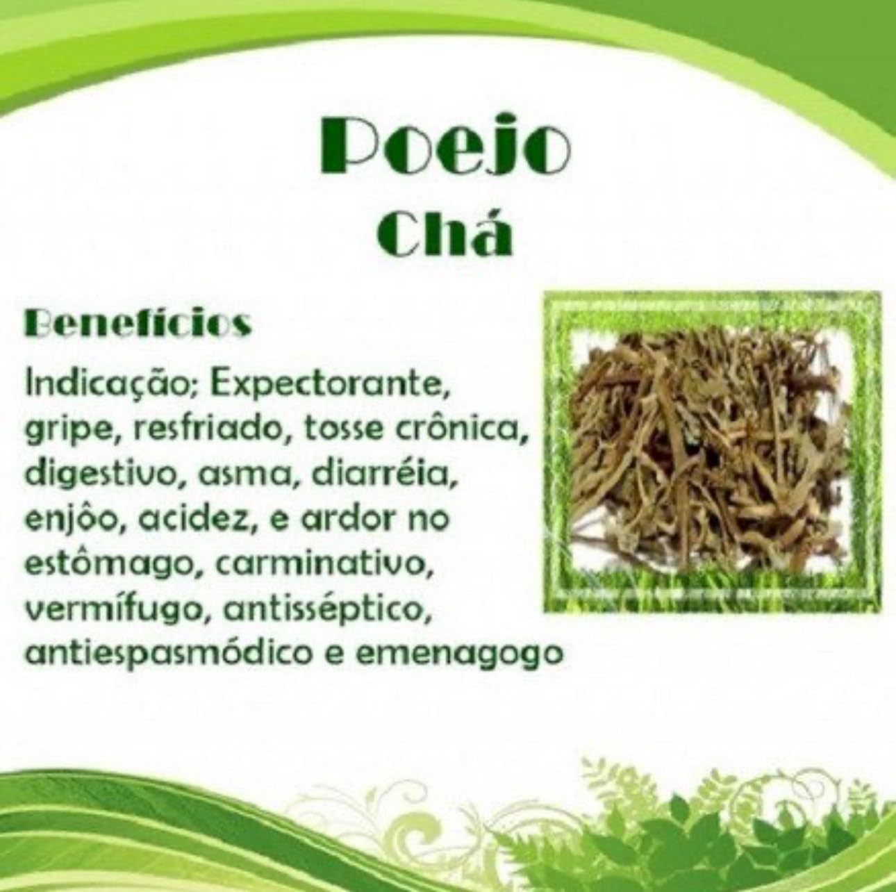 Poejo O POEJO Updated March 2025 21 Photos R. Da Queiró, 9,
