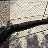 FlexTran Environmental Silt Sock - Filter Sock for Erosion Control and ...