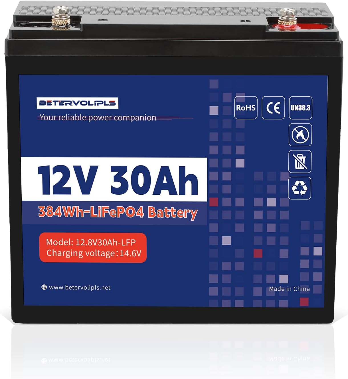 Amazon.com: 12V 30Ah Lithium LiFePO4 Rechargeable Battery, 4000+ Deep ...