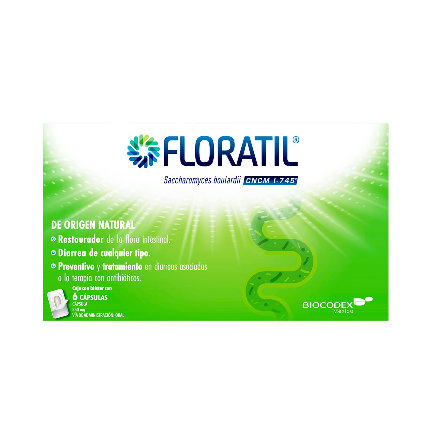 Floratil 6 capsulas 250mg probiótico de levadura de origen natural ...