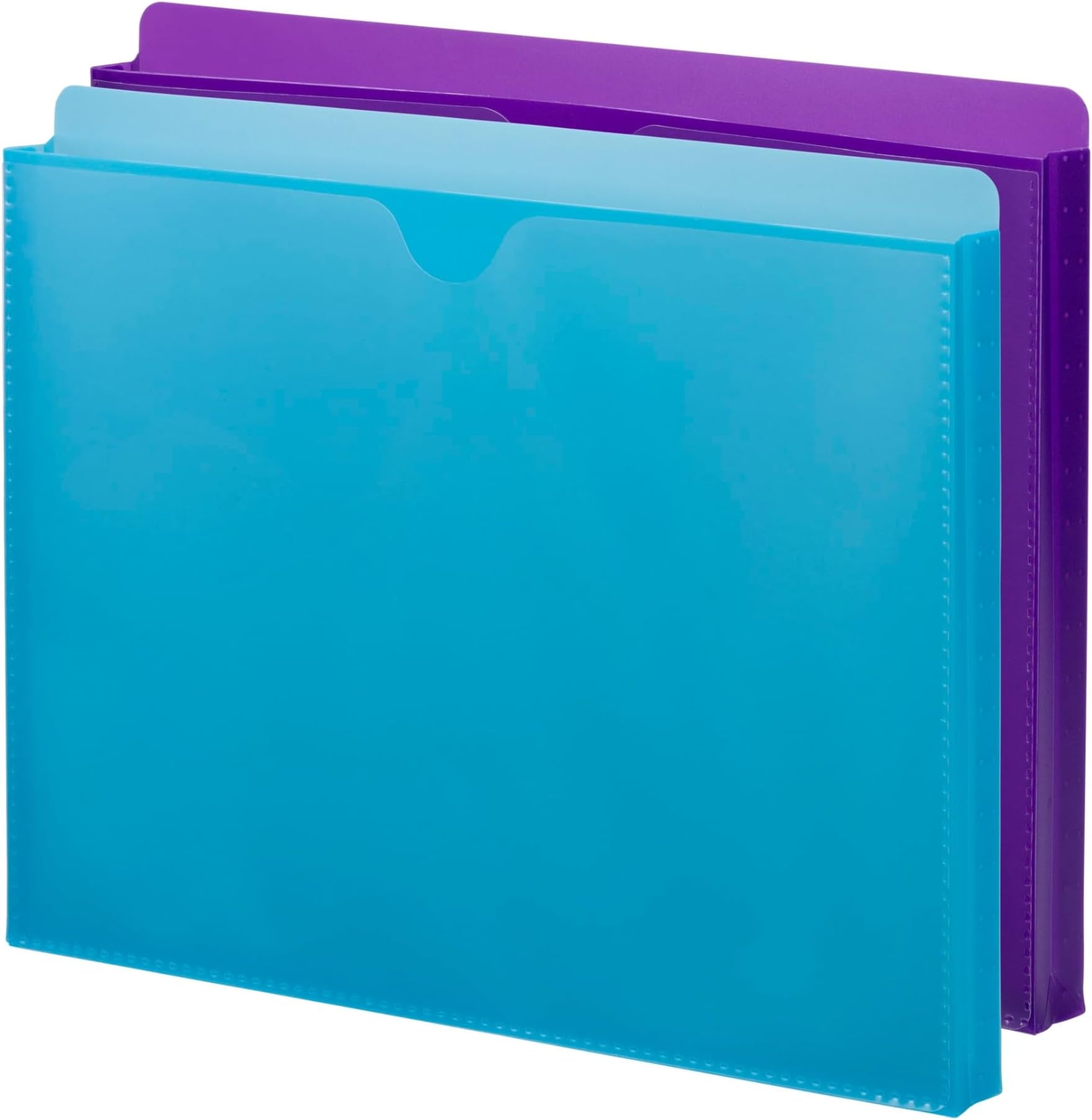 Amazon.com : 1InTheOffice Expandable Plastic File Folders, Pockets ...