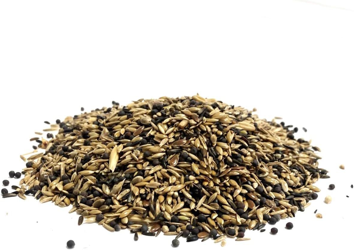 1kg British Finch Seed LJJ : Amazon.co.uk: Pet Supplies