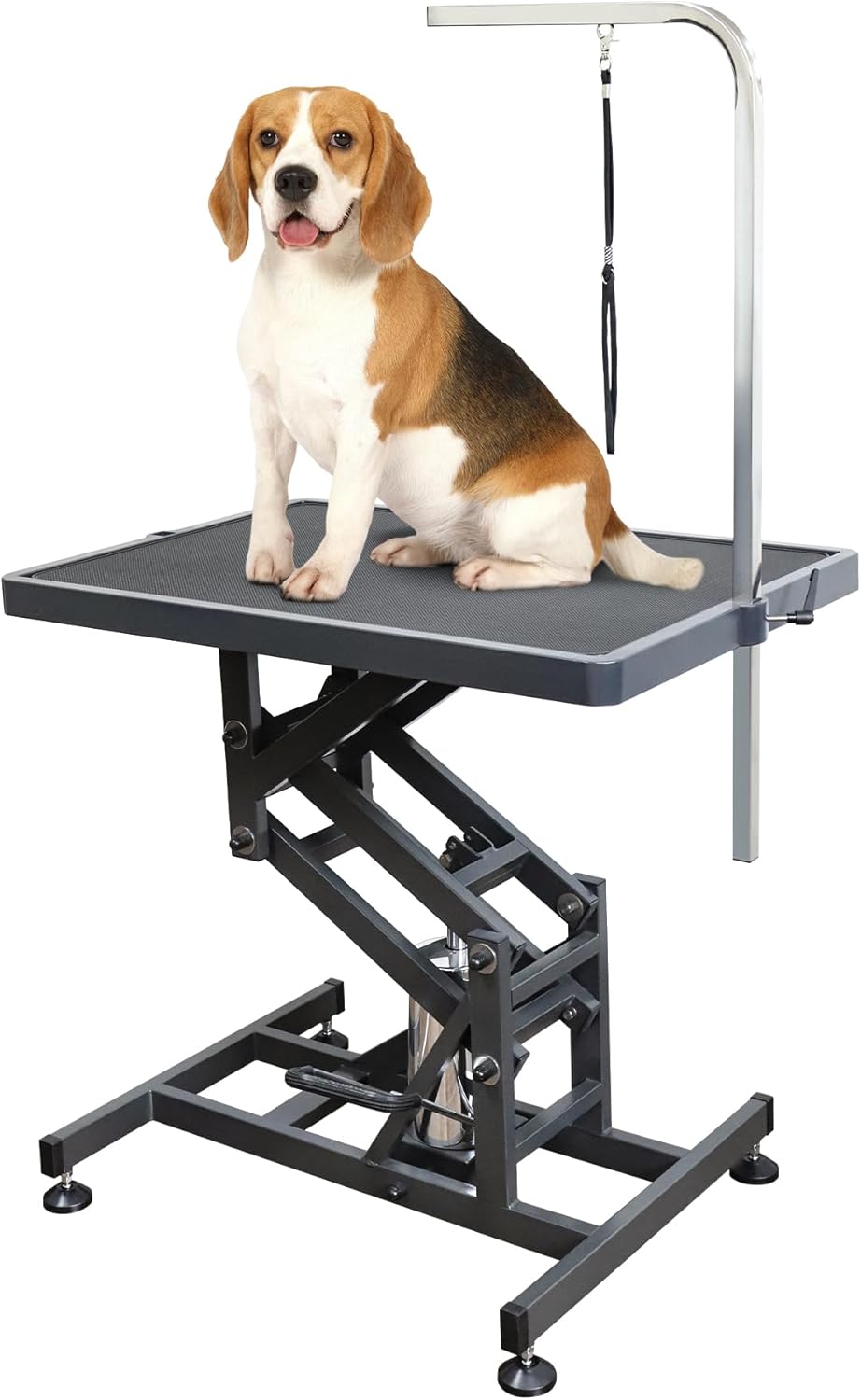 Amazon.com: UDSONFY Hydraulic Pet Dog Grooming Table, Heavy Duty ...