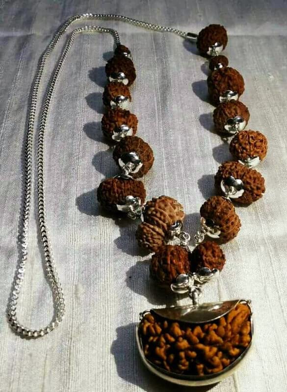 CLOUDGEMS Store Nepali 1 to 14 Mukhi Sarva Siddha Mala|Ek Se Chaudah ...