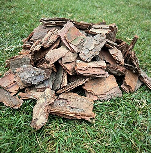 Banrujjeder Orchid Bagan Private Limited Natural Pine Bark Chips For ...