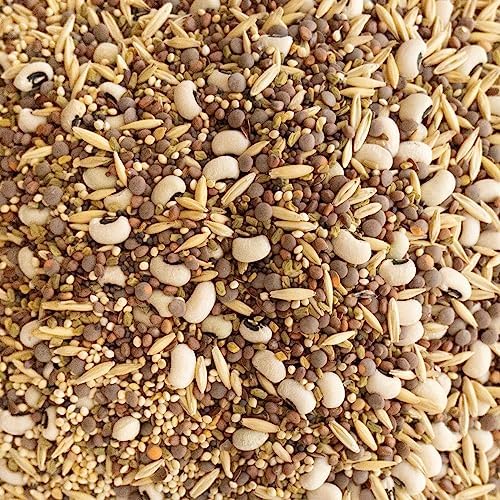 Amazon.com : No-Till Forage Friendly Cover Crop Seed Mix - 5 Pounds ...