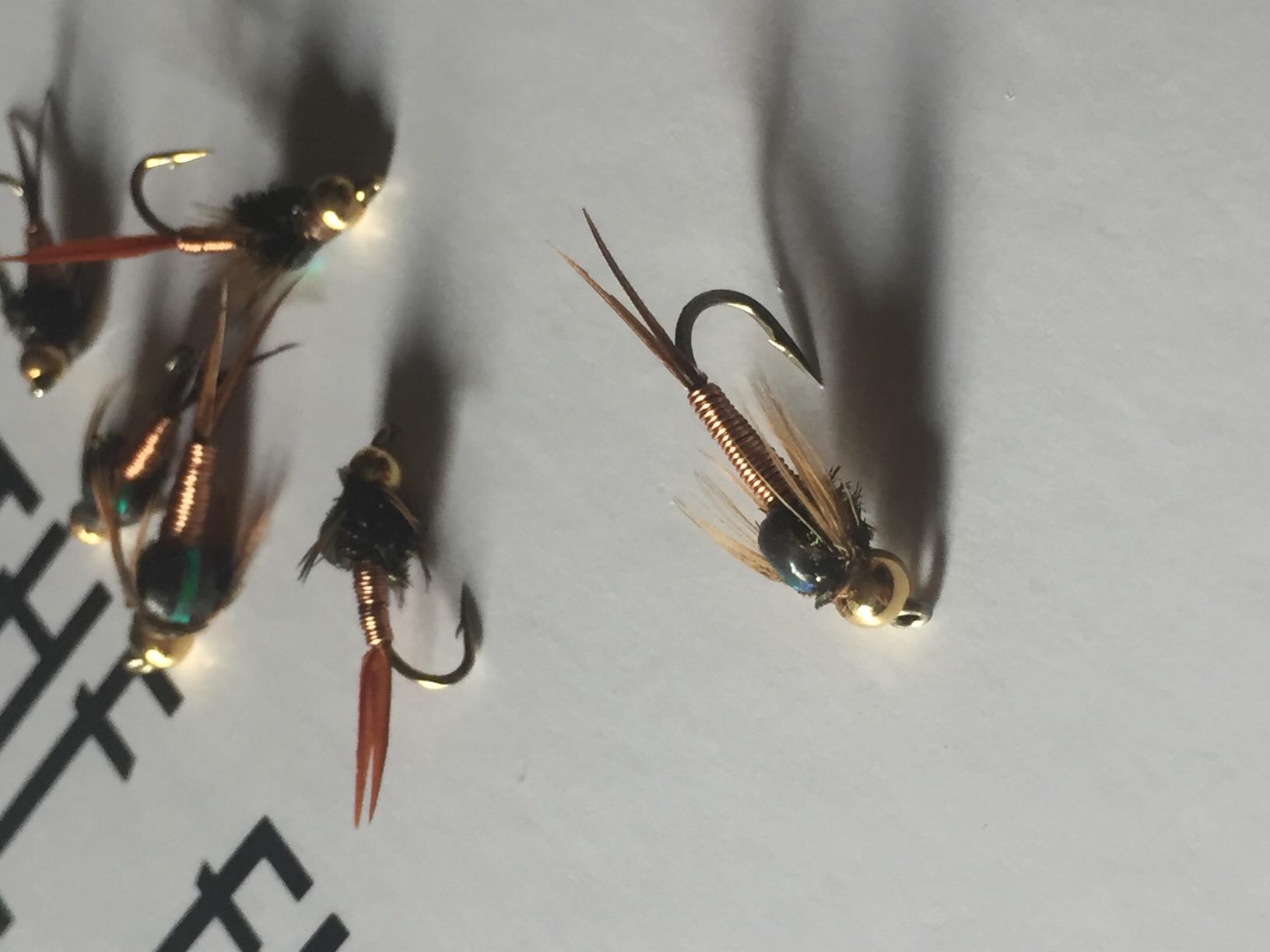 Amazon.com : BH Copper John Fly Fishing Nymph Trout Fly Assortment - 6 ...