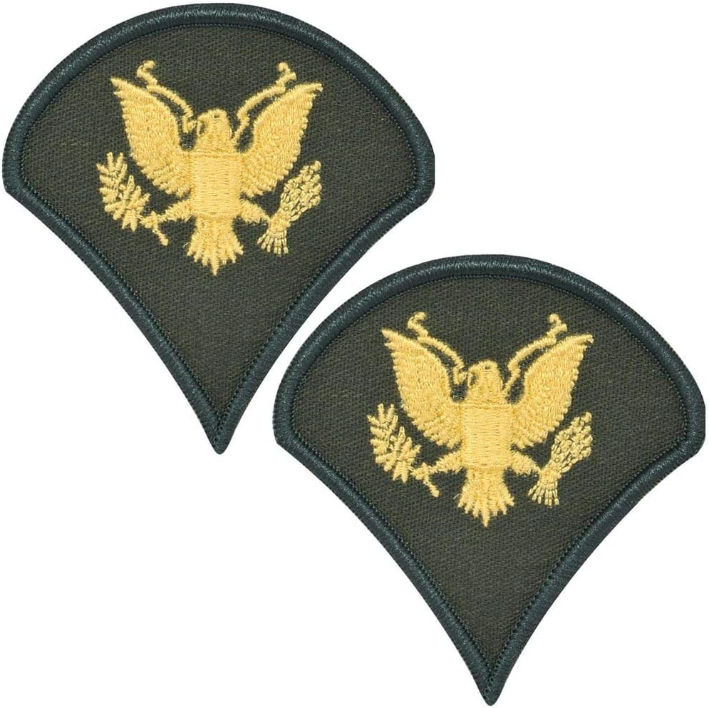 Amazon.com: U.S. Army Specialist E-4 SPC Rank TAB Patch - Color ...