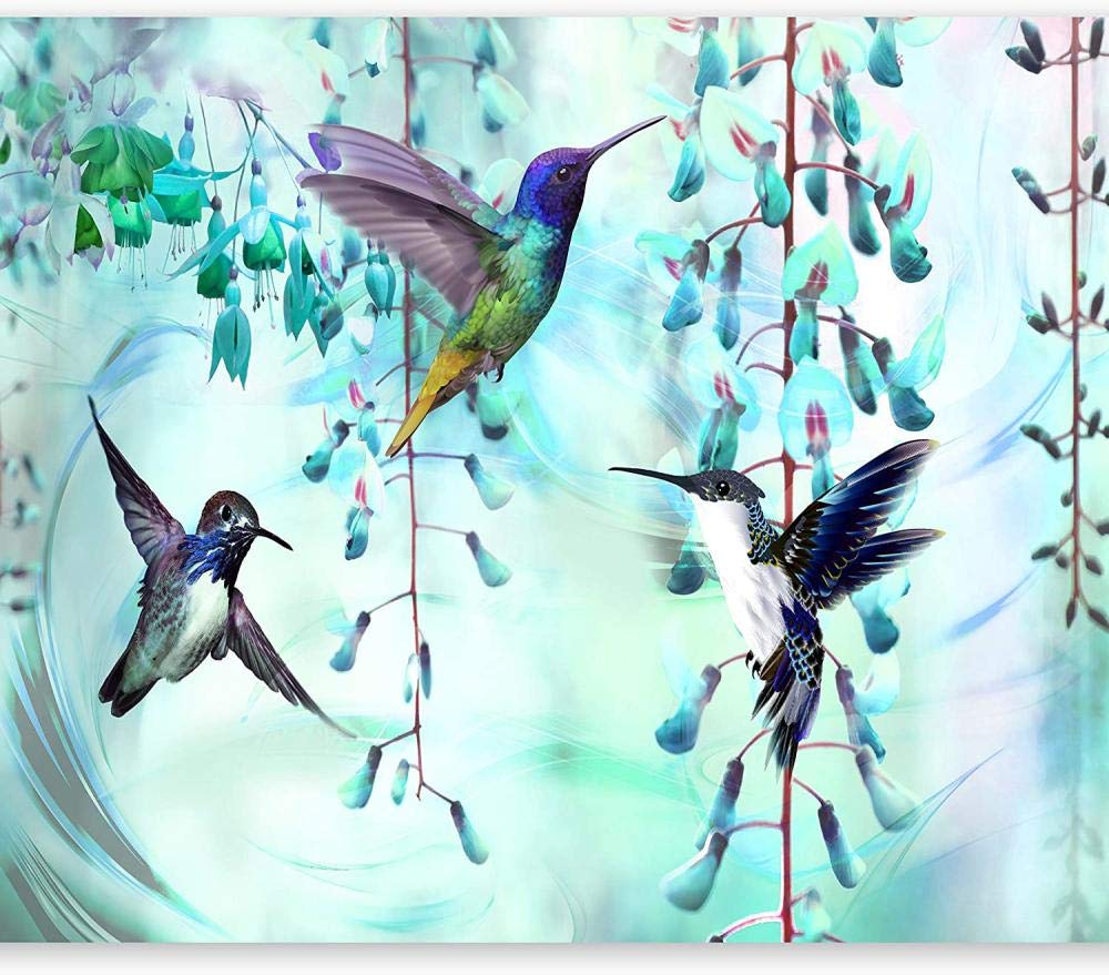 Colorful Hummingbird Desktop Wallpaper Humming Bird Amazing Hd