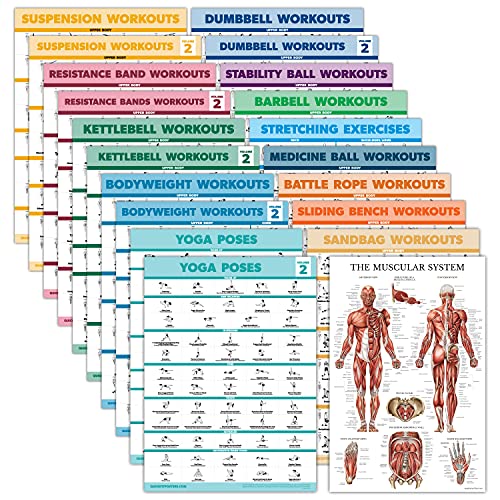 palace learning 20 pack exercise poster set